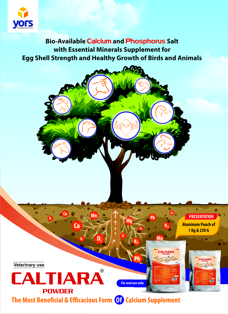 caltiara-powder - Yors Pharmaceutical